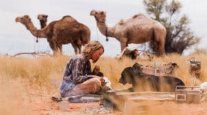 23 Best Nature-Themed Movies You'll Want to Get Lost in While Watching ...